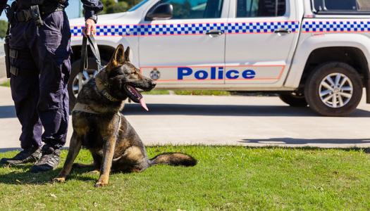 Frequently Asked Questions | Queensland Police Service Recruiting